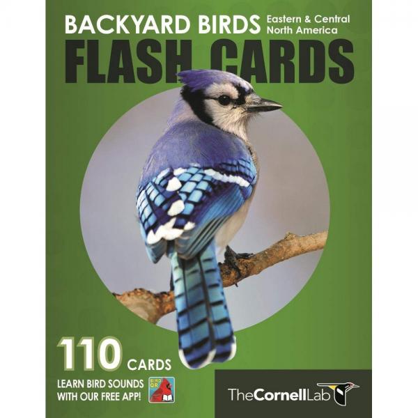 Backyard Birds Flash Cards, Eastern & Central North America – Urban ...