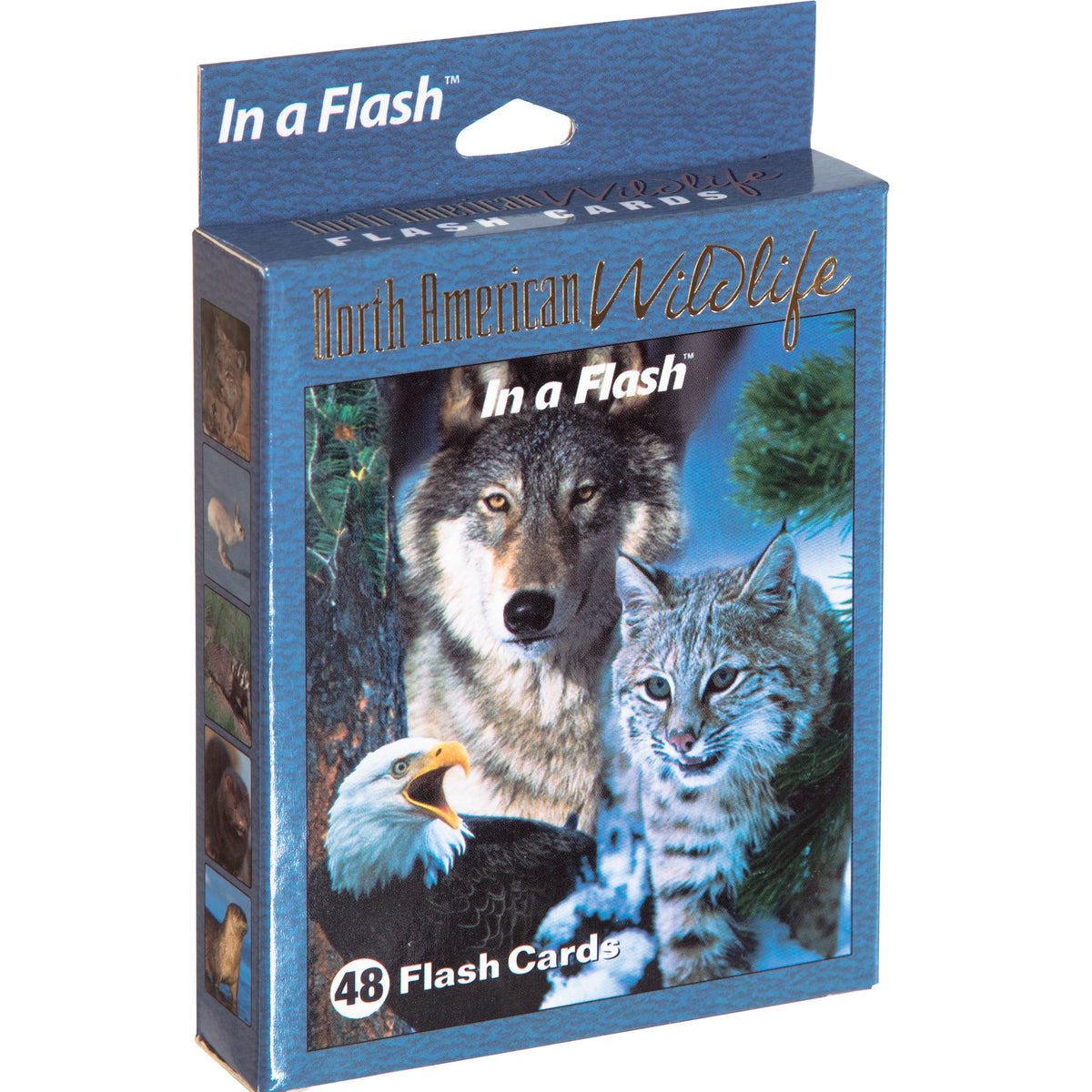 North American Wildlife Flash Cards – Urban Nature Store