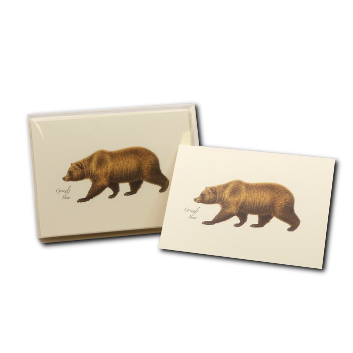 Buy Grizzly Bear Notecards Online With Canadian Pricing – Urban Nature ...