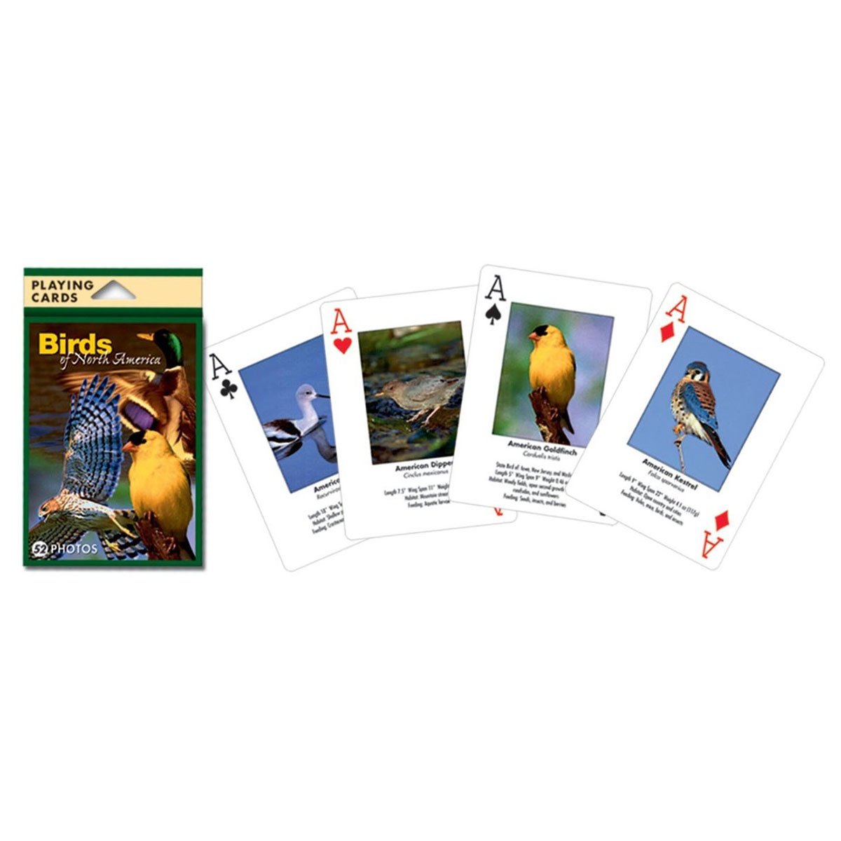 Buy Birds of North America Playing Cards Online With Canadian Pricing ...