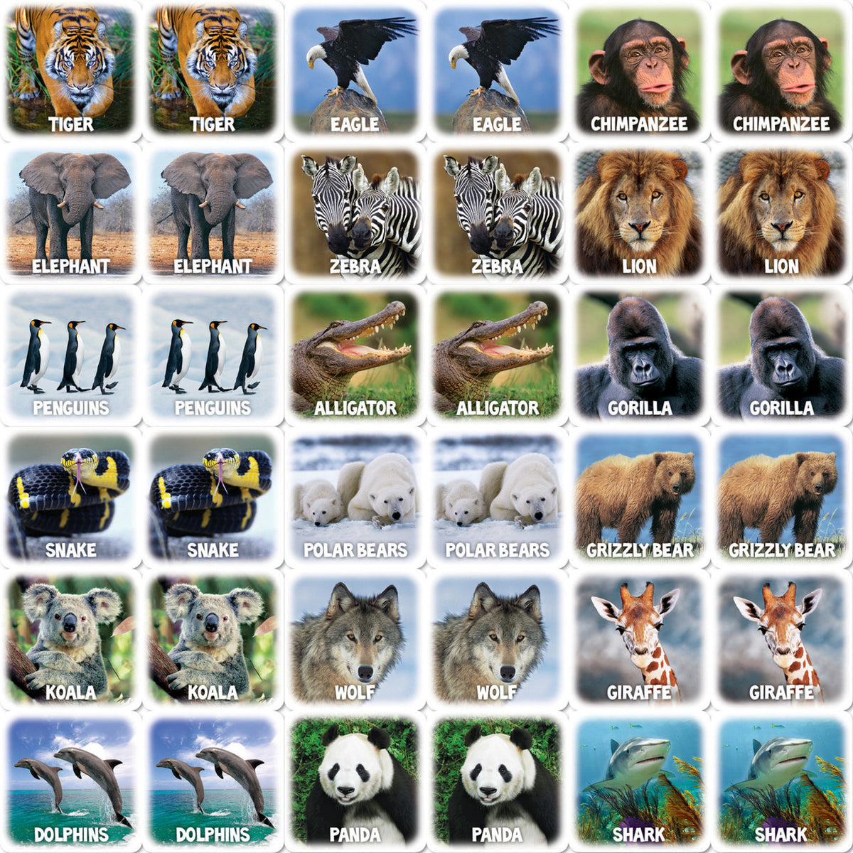 Buy World of Animals Matching Game Online With Canadian Pricing - Urban ...
