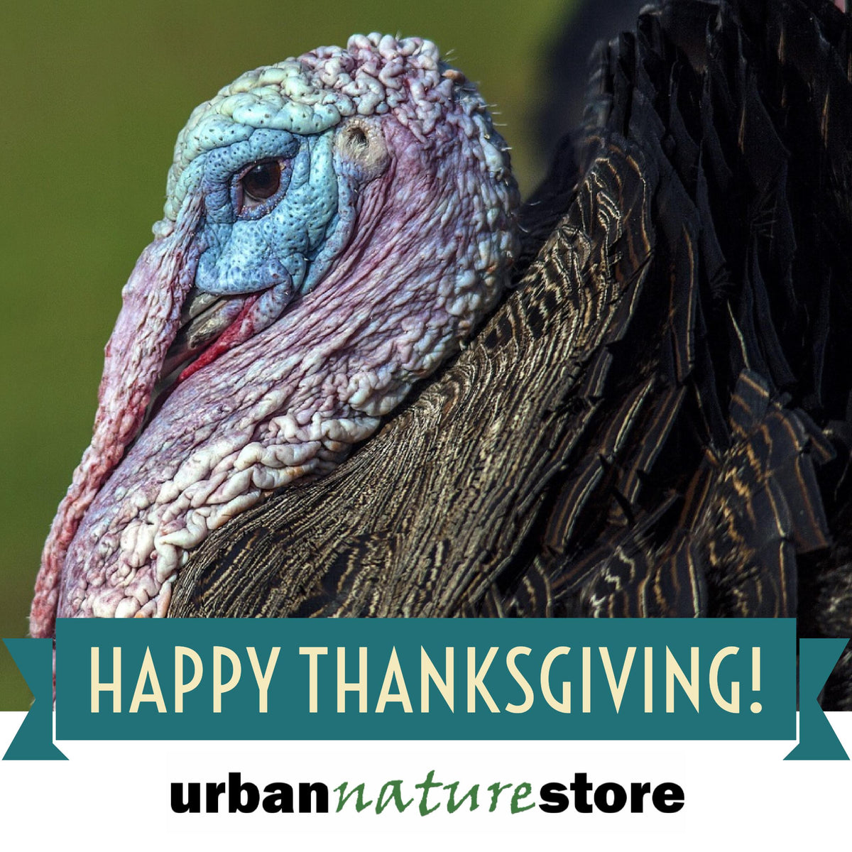 Thanksgiving Weekend Hours – Urban Nature Store