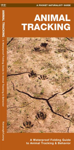 Animal Tracking – Urban Nature Store