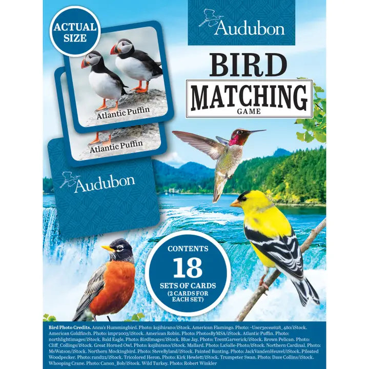 Buy Audubon Bird Matching Game Online With Canadian Pricing - Urban ...