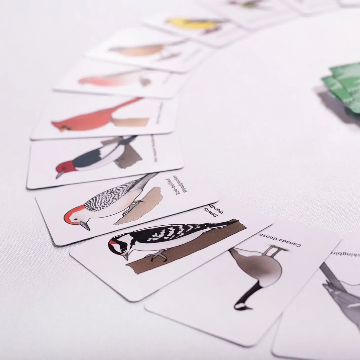 Buy BirdMatch Original Memory Game Online With Canadian Pricing - Urban ...