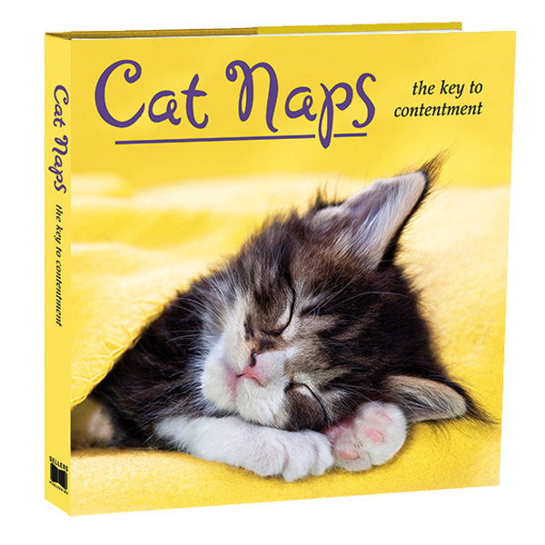 Cat Naps – Urban Nature Store