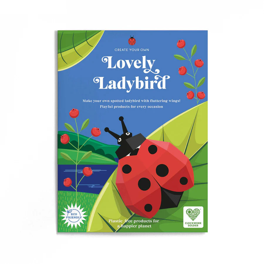 Create Your Own Ladybug Craft Kit – Urban Nature Store