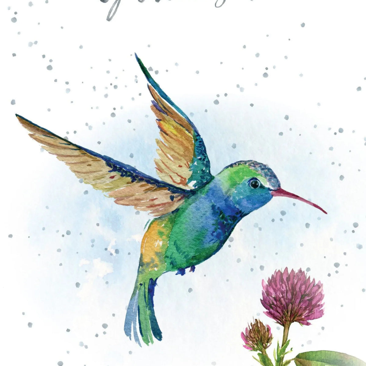 Hummingbird Speedy Recovery Get Well Soon Card – Urban Nature Store