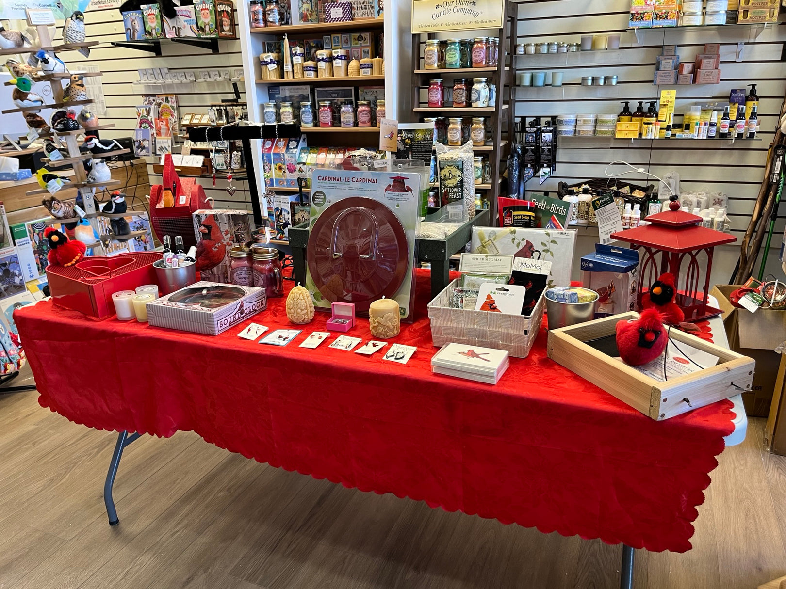 Wild Bird Store Ancaster/Hamilton, Backyard Birding - Urban Nature ...