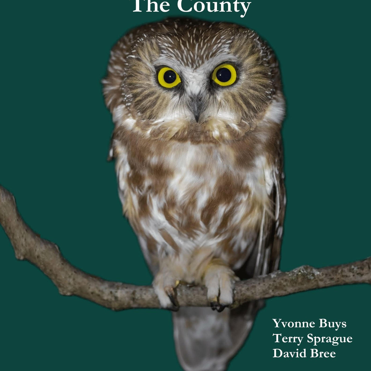 Look What Flew Through the County, The Birds of Prince Edward County ...