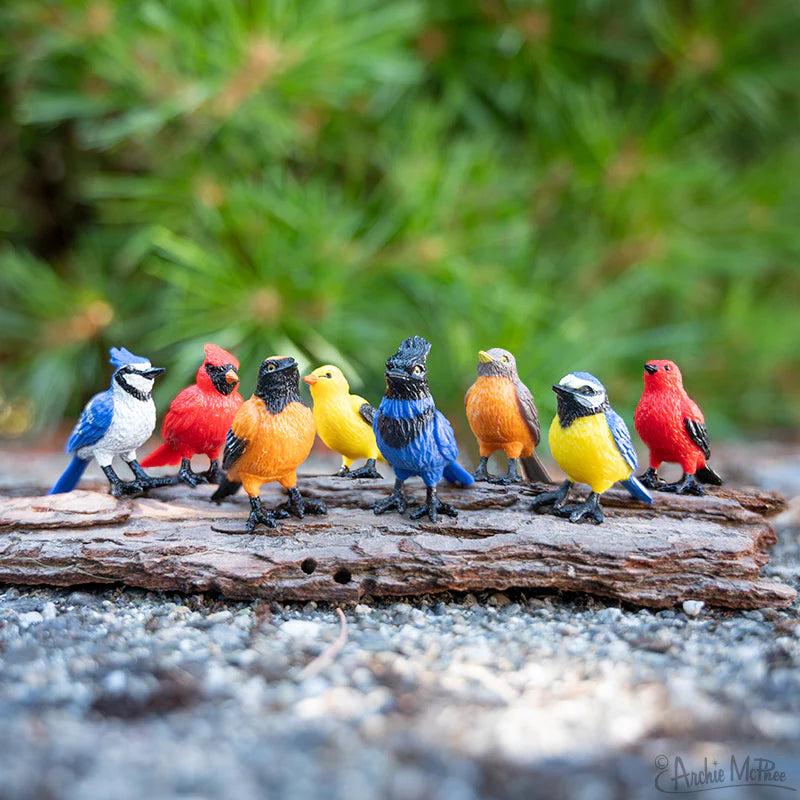 Buy Mini Garden Birds Collection Online With Canadian Pricing - Urban ...