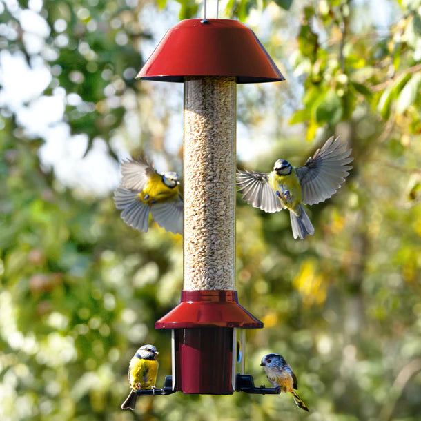 Buy Roamwild PestOff Mixed Seed Squirrel Proof Bird Feeder, Red Online ...