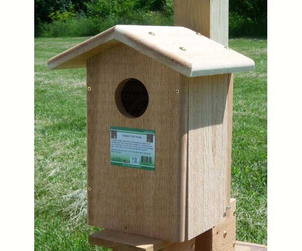 Buy Screech Owl House Online With Canadian Pricing - Urban Nature Store