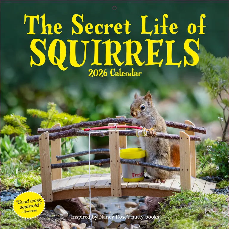 Secret Life of Squirrels Wall Calendar 2026 – Urban Nature Store
