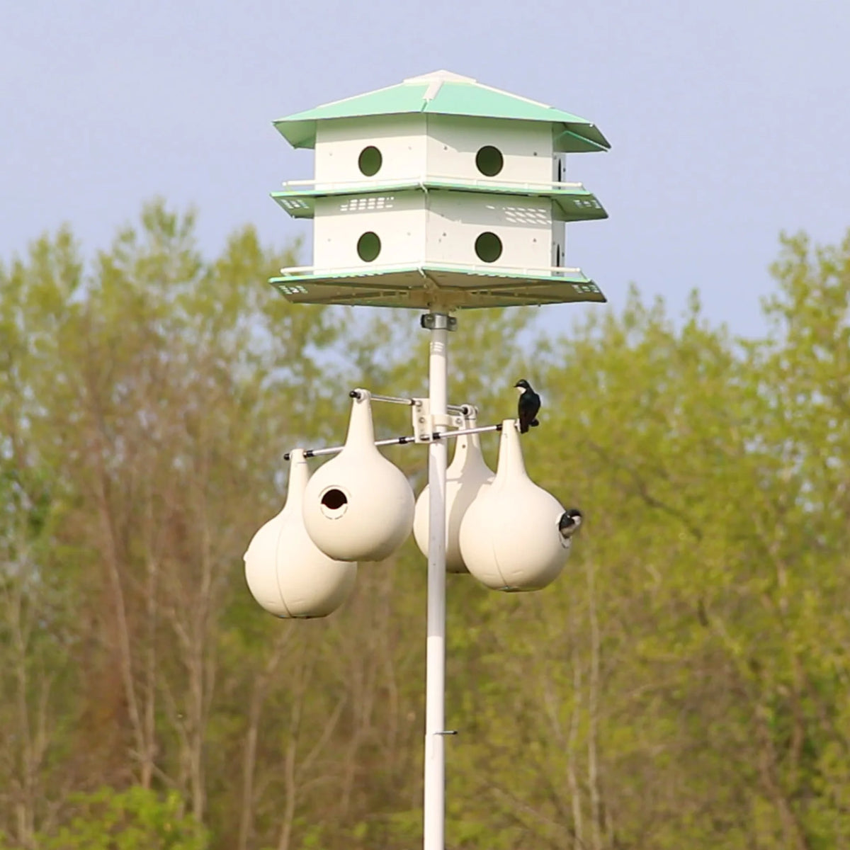 Buy 12-Room Snap-together Plastic & Aluminum Purple Martin House Online ...