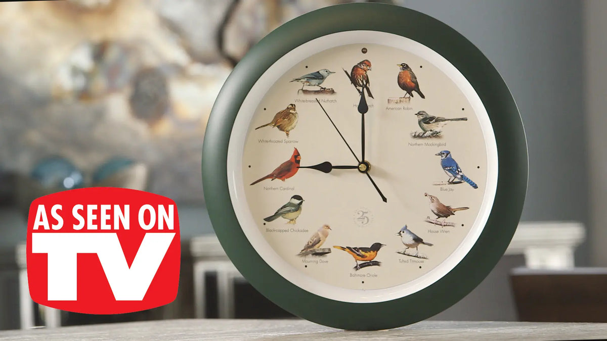 Buy 25th Anniversary Original Singing Bird Clock, 13 Inch, Green Online ...