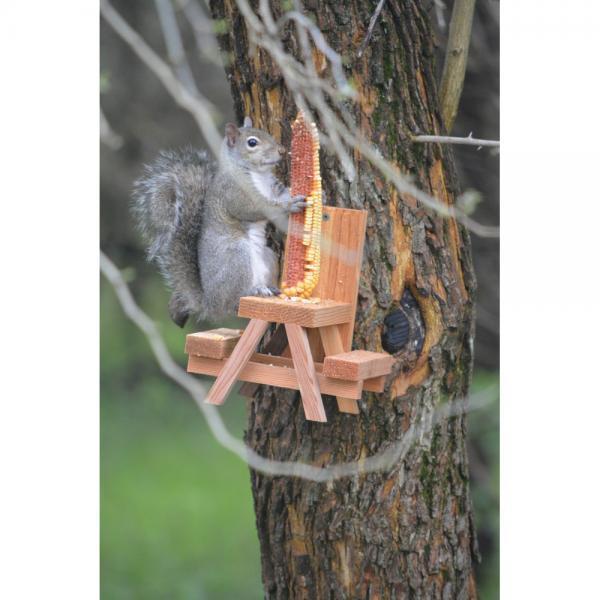 Buy Build a Squirrel Picnic Table Kit Online With Canadian Pricing ...