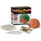 Chia Pet Hedgehog (Store Pickup Only) – Urban Nature Store