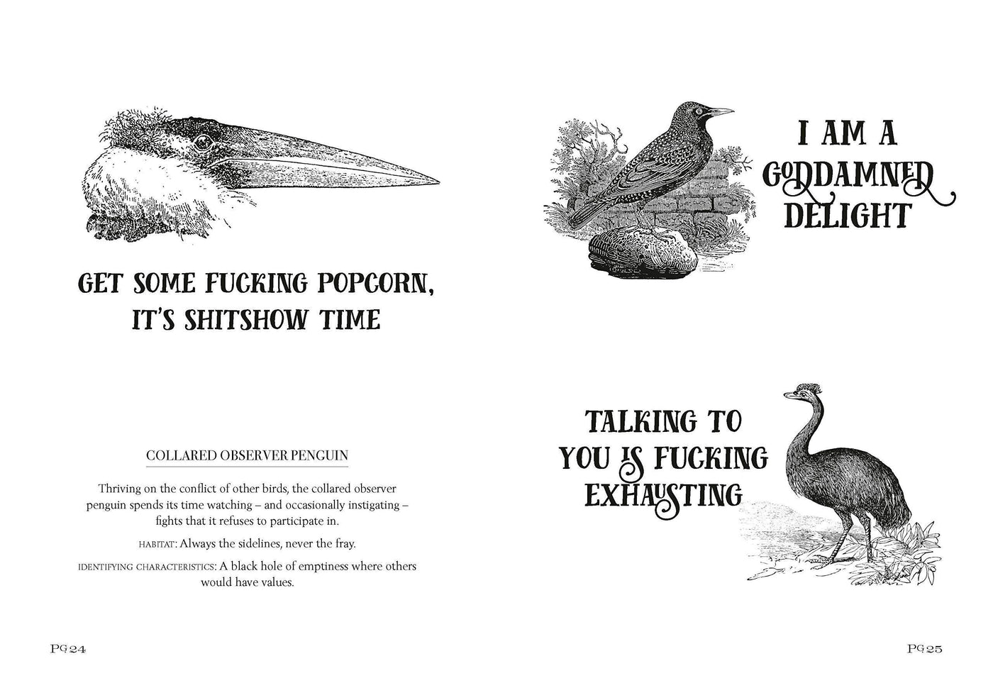 Buy Effin' Birds: A Field Guide to Identification, Hardcover Online ...