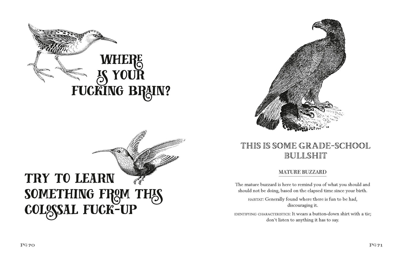 Buy Effin' Birds: A Field Guide to Identification, Hardcover Online ...