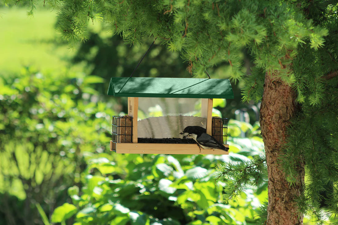 Buy Hopper Feeder With Suet Cages Online With Canadian Pricing - Urban ...