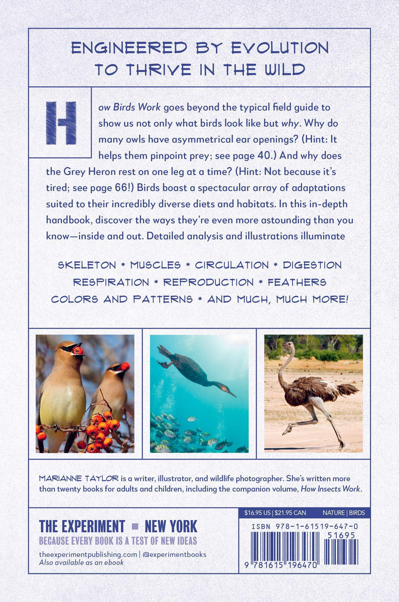 Buy How Birds Work, Workman Publishing Online With Canadian Pricing ...