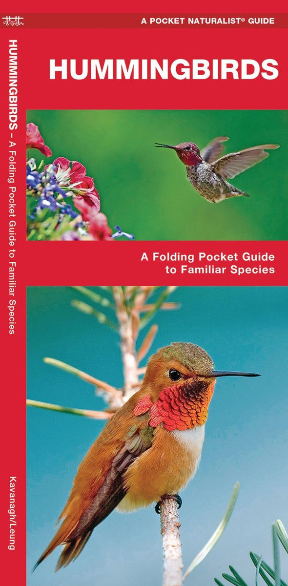 Buy Hummingbirds Online With Canadian Pricing – Urban Nature Store