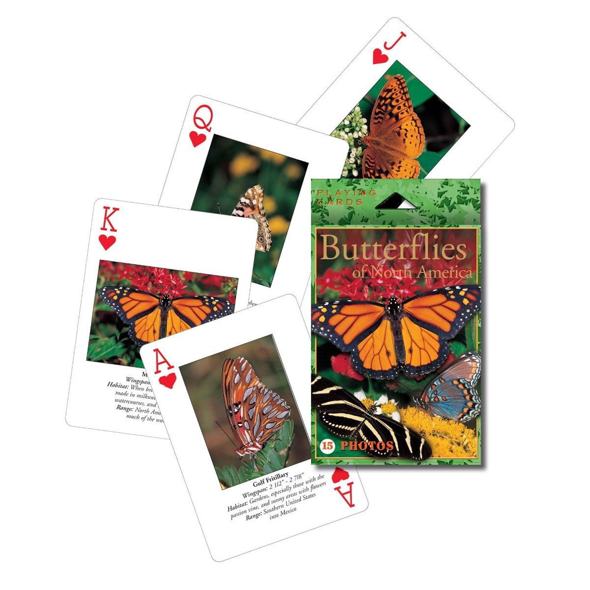 Buy Butterfly of North America Playing Cards Online With Canadian ...