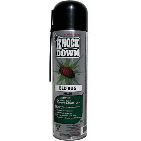Buy Knock Down Bed Bug Killer, 400g Aerosol Online With Canadian ...