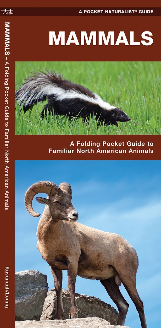 Buy Mammals Online With Canadian Pricing - Urban Nature Store