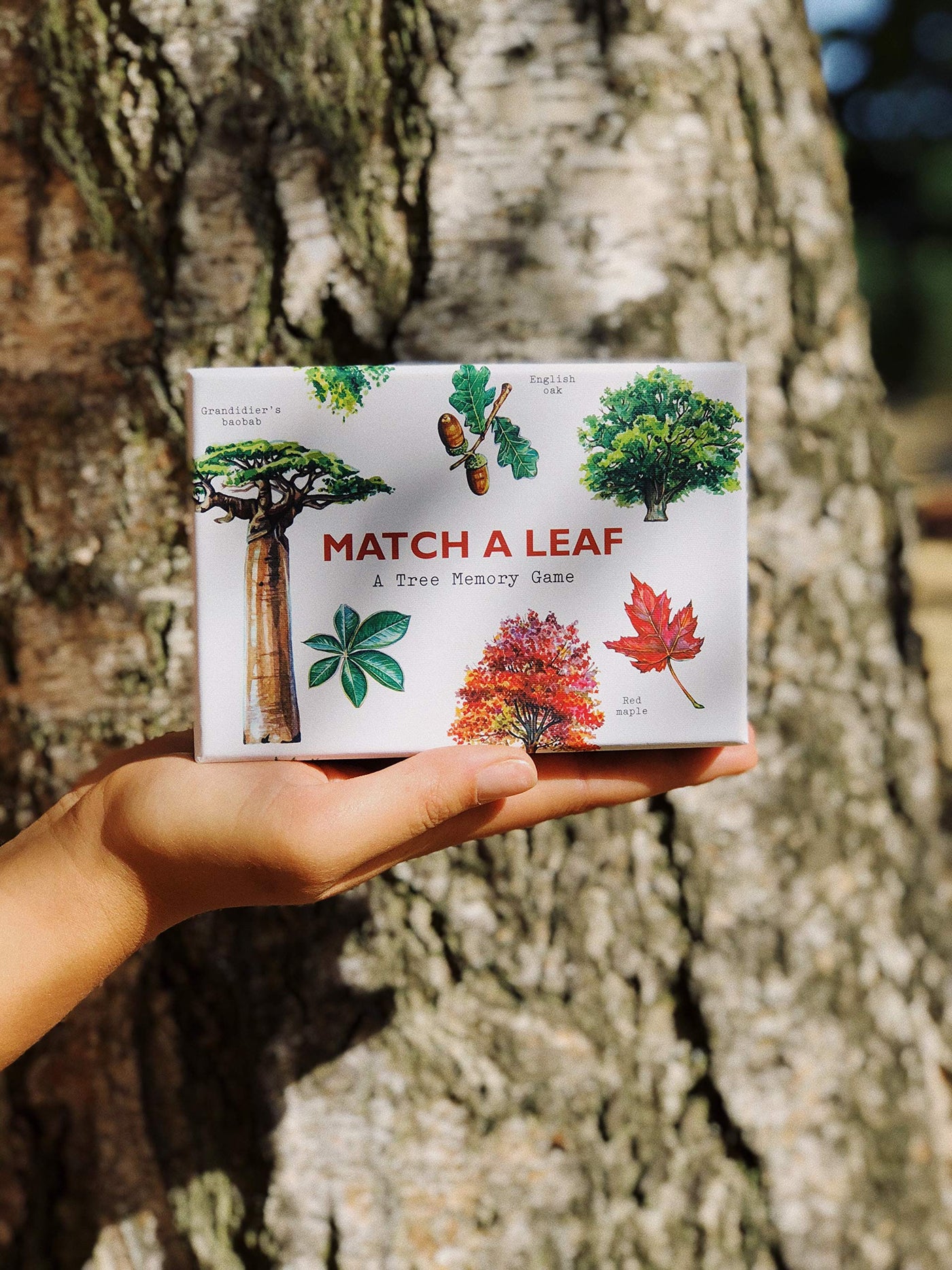 Buy Match a Leaf: A Tree Memory Game Online With Canadian Pricing ...