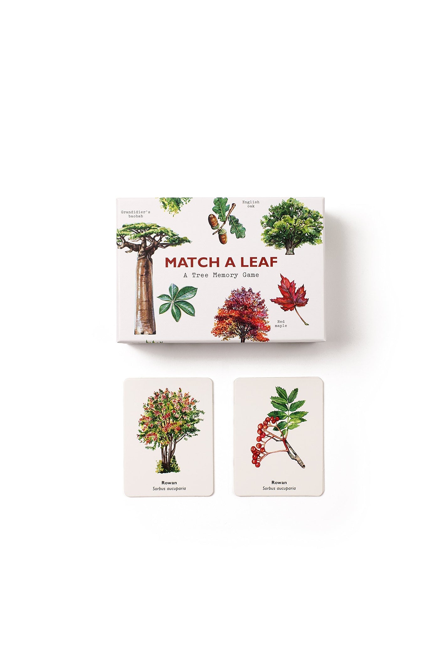 Buy Match a Leaf: A Tree Memory Game Online With Canadian Pricing ...