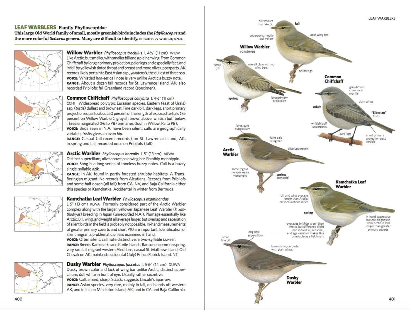 Buy National Geographic Field Guide to the Birds of North America ...