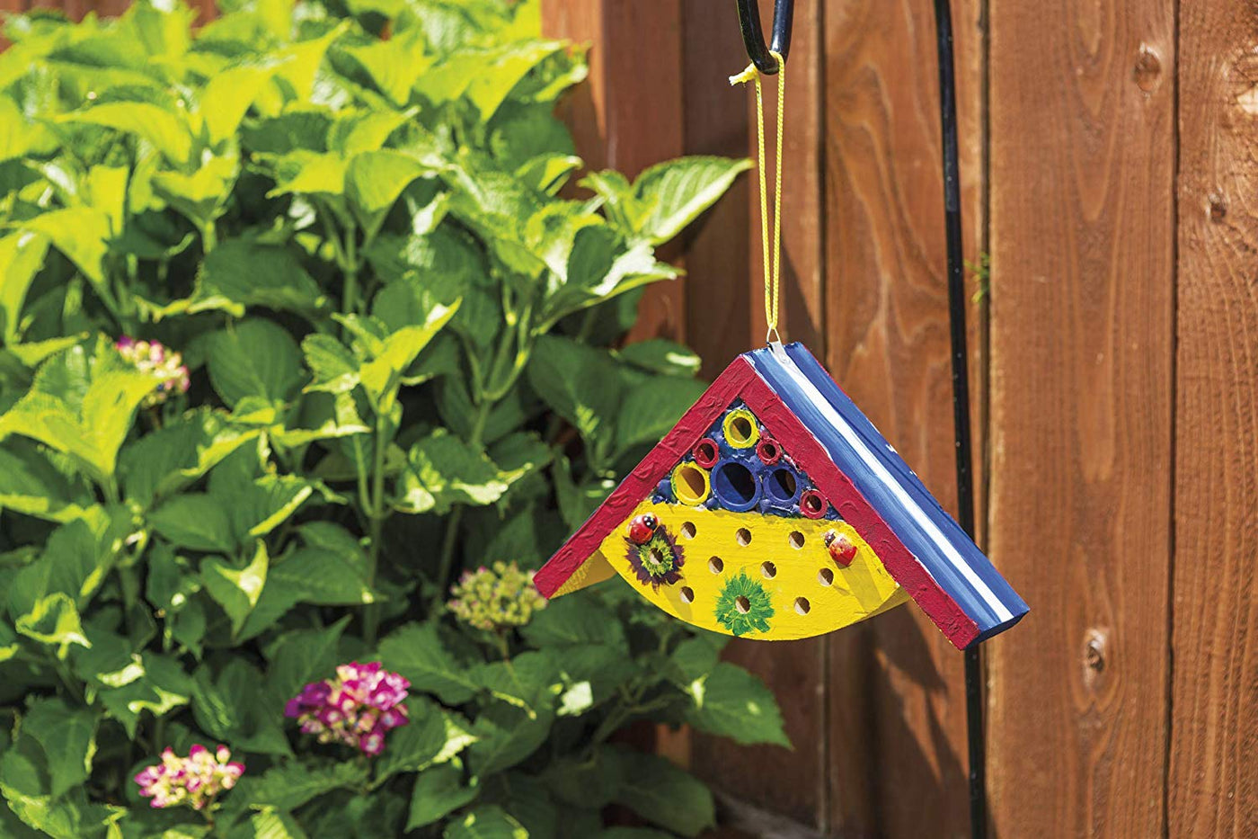 Buy Paint a Bug Abode Online With Canadian Pricing - Urban Nature Store