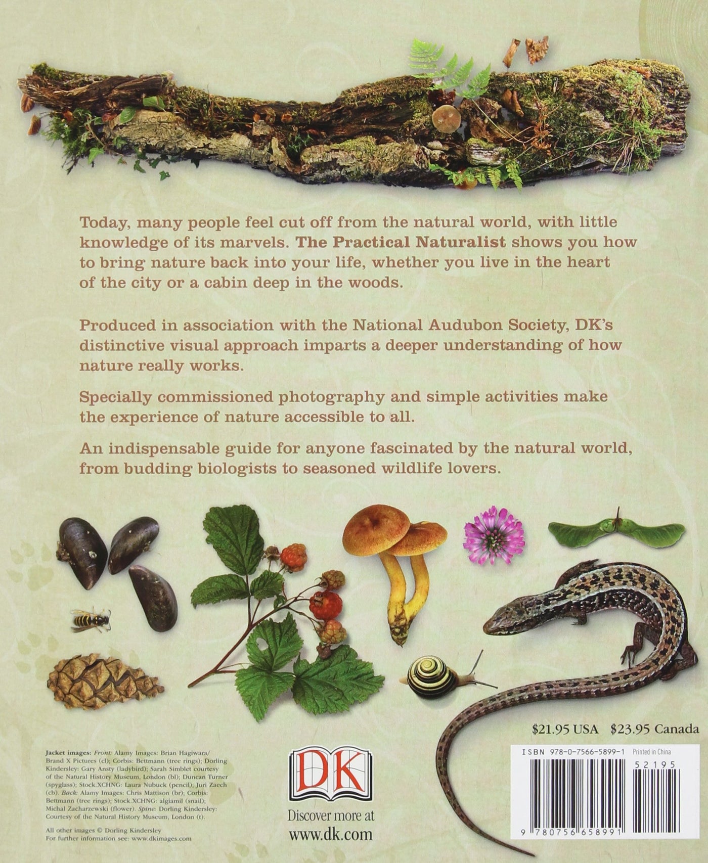 Buy The Practical Naturalist, Explore the Wonders of the Natural World ...