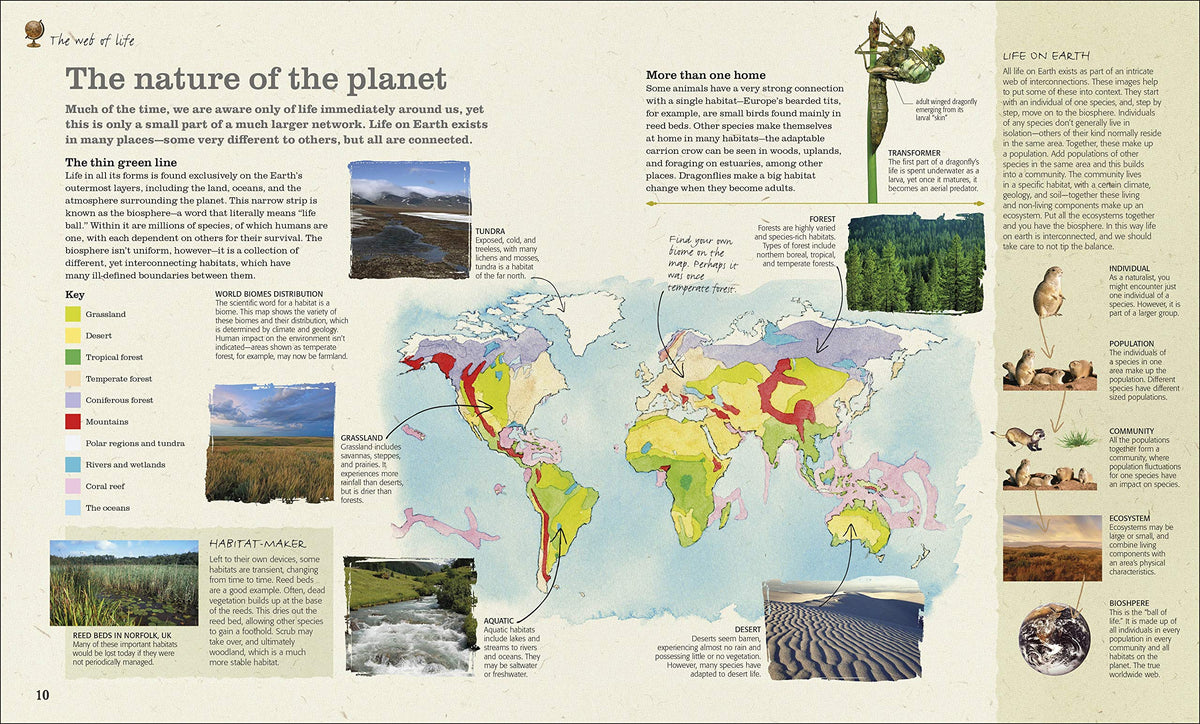 Buy The Practical Naturalist, Explore the Wonders of the Natural World ...