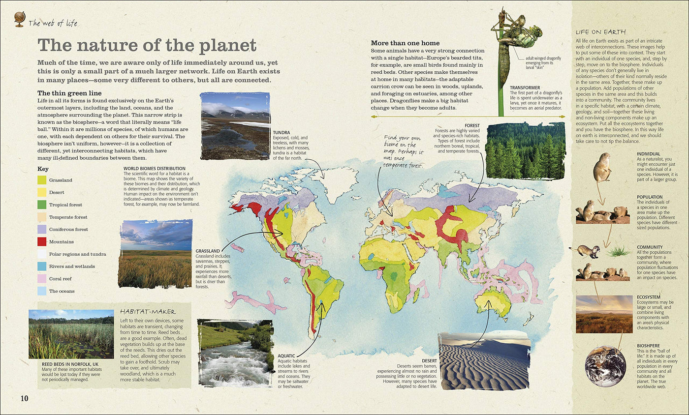 Buy The Practical Naturalist, Explore the Wonders of the Natural World ...