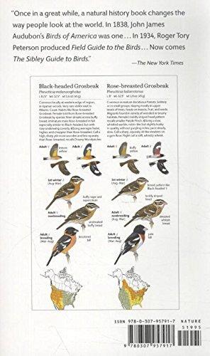 Buy The Sibley Field Guide to Birds of Eastern North America Online ...