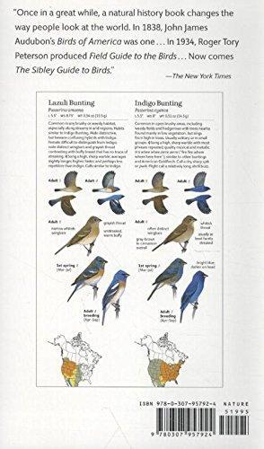 Buy The Sibley Field Guide to Birds of Western North America: Second ...