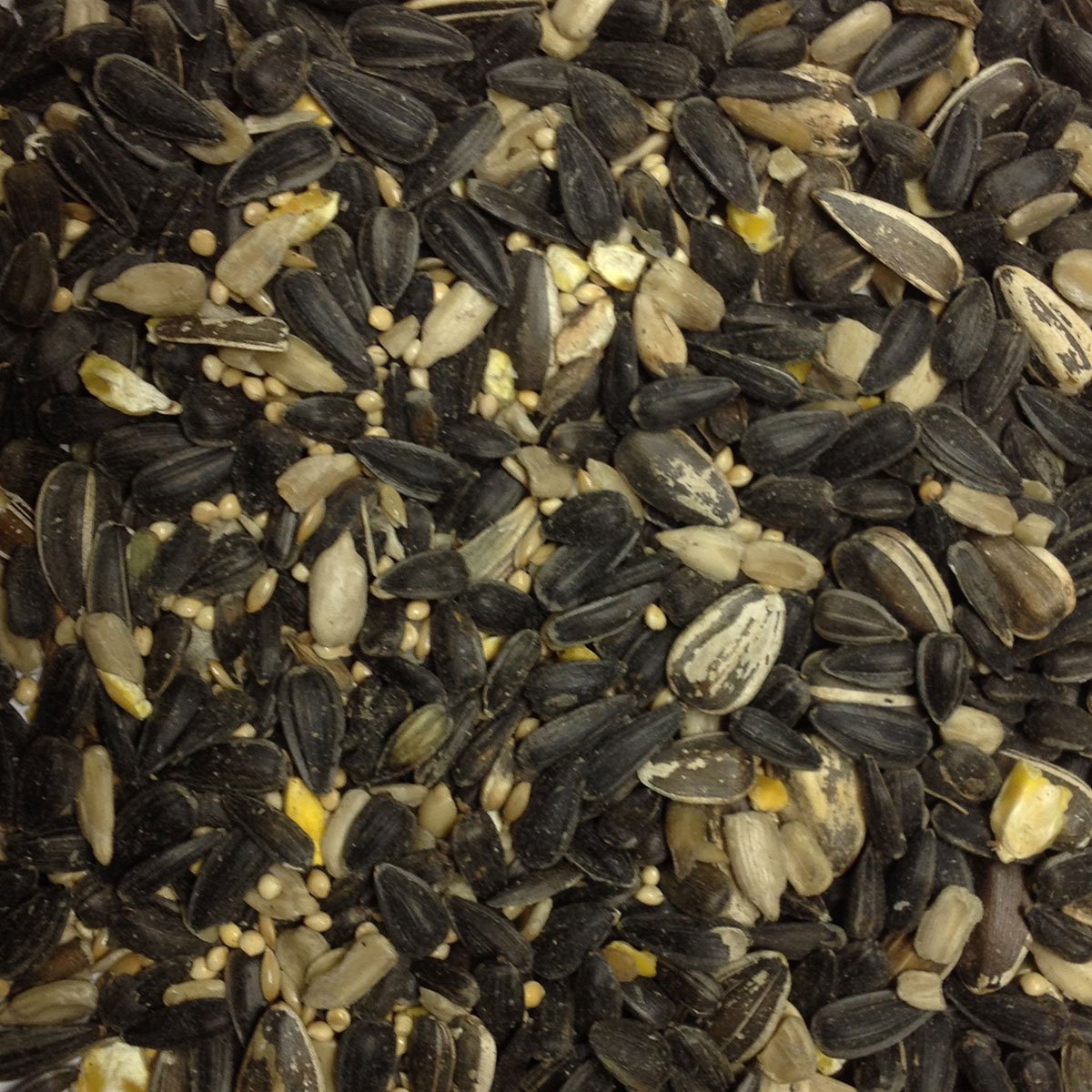 Buy Fiesta Mix Online With Canadian Pricing - Urban Nature Store