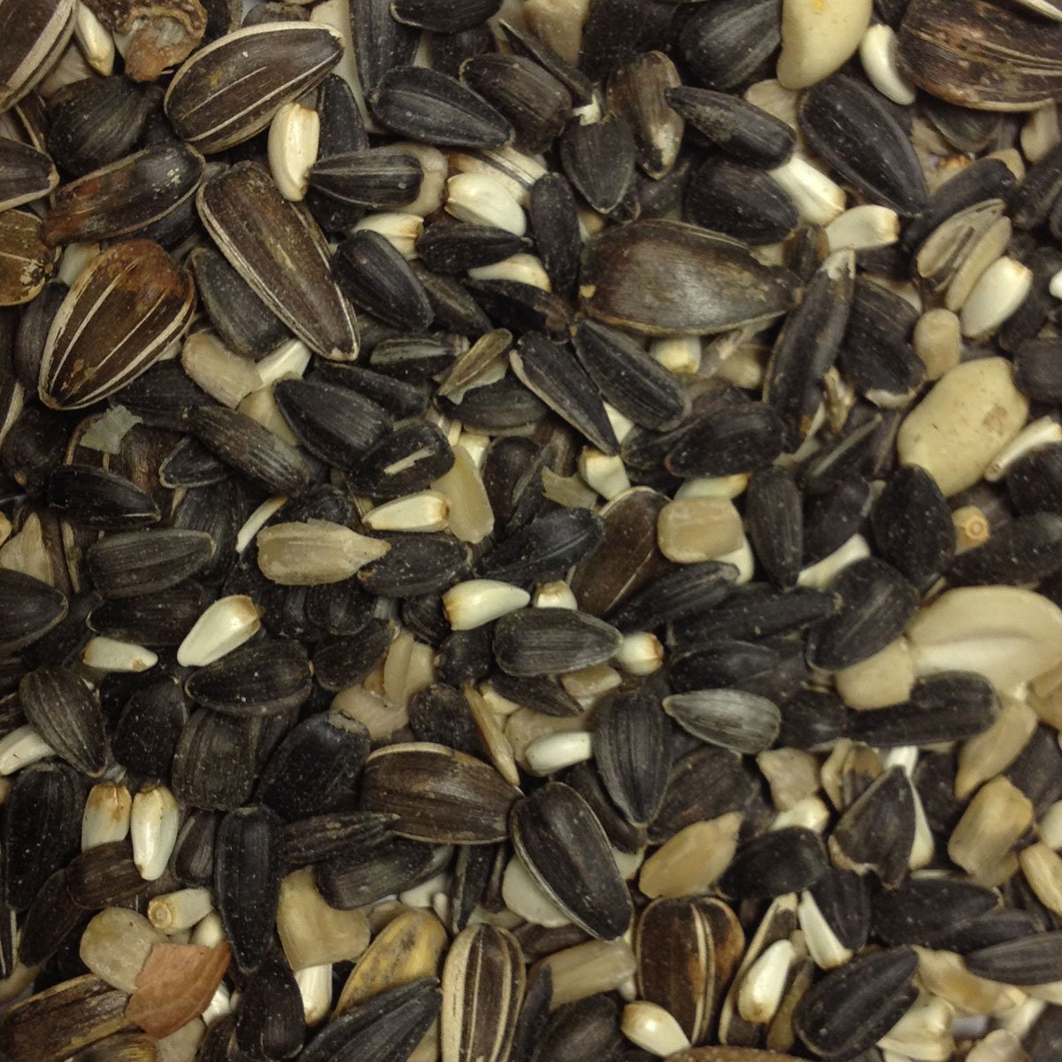 Buy Red Carpet Mix Online With Canadian Pricing – Urban Nature Store