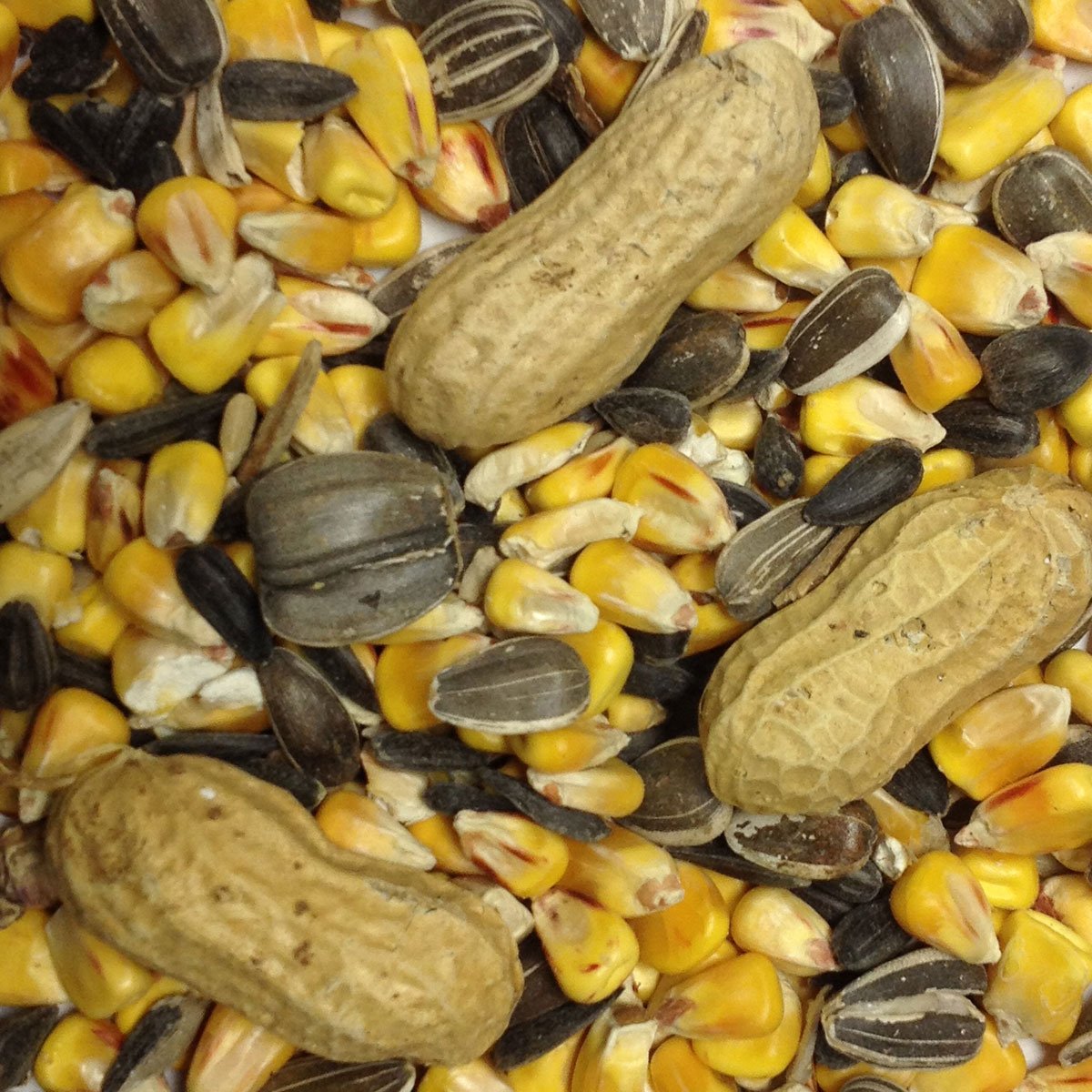 Buy Squirrel Mix Premium Wild Animal Feed Online With Canadian Pricing ...